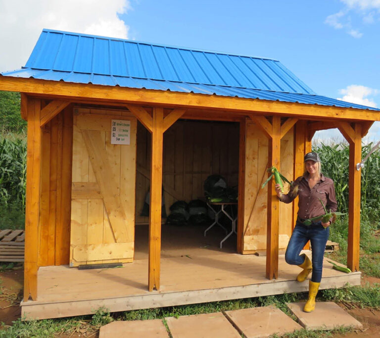 Keddy's Corn | Hand-Picked Sweet Corn on PEI